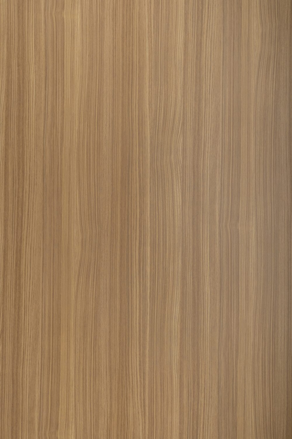TRW10300G – Andorrian Noce – Treo Merino | Shimlen
