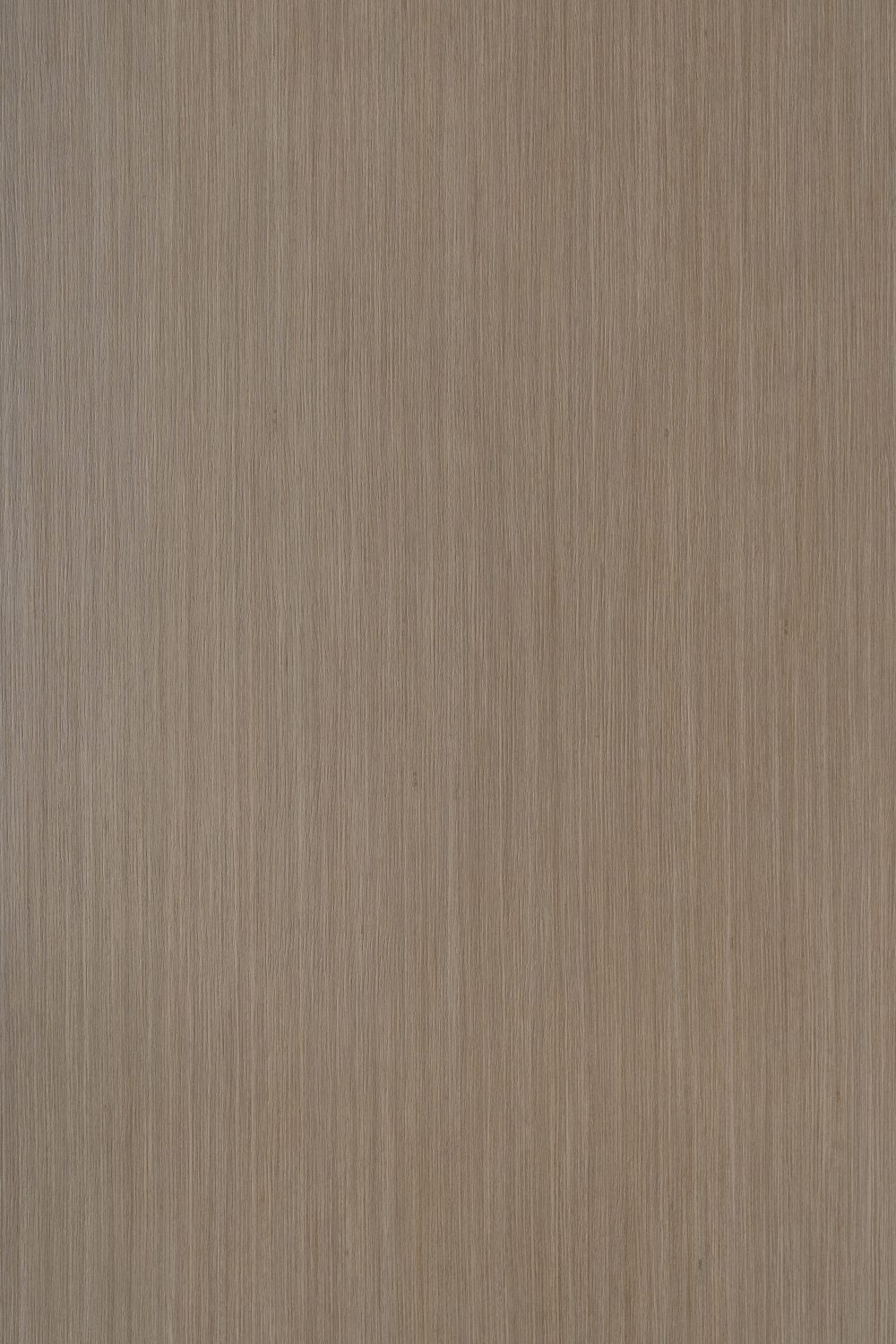 TRW10900G – Silver Legno Oak – Treo Merino | Shimlen