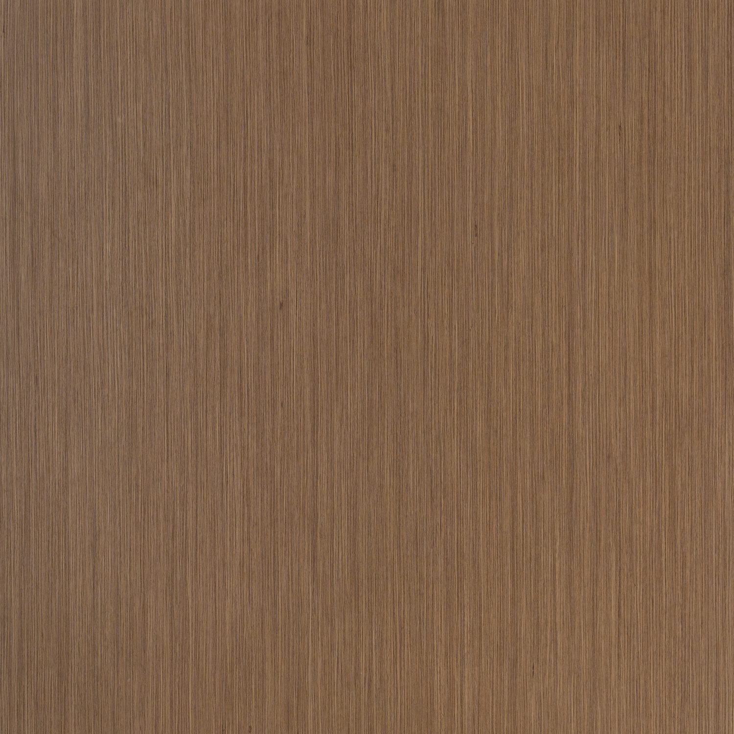 TRW10902F – Pure Legno Oak – Treo Merino | Shimlen