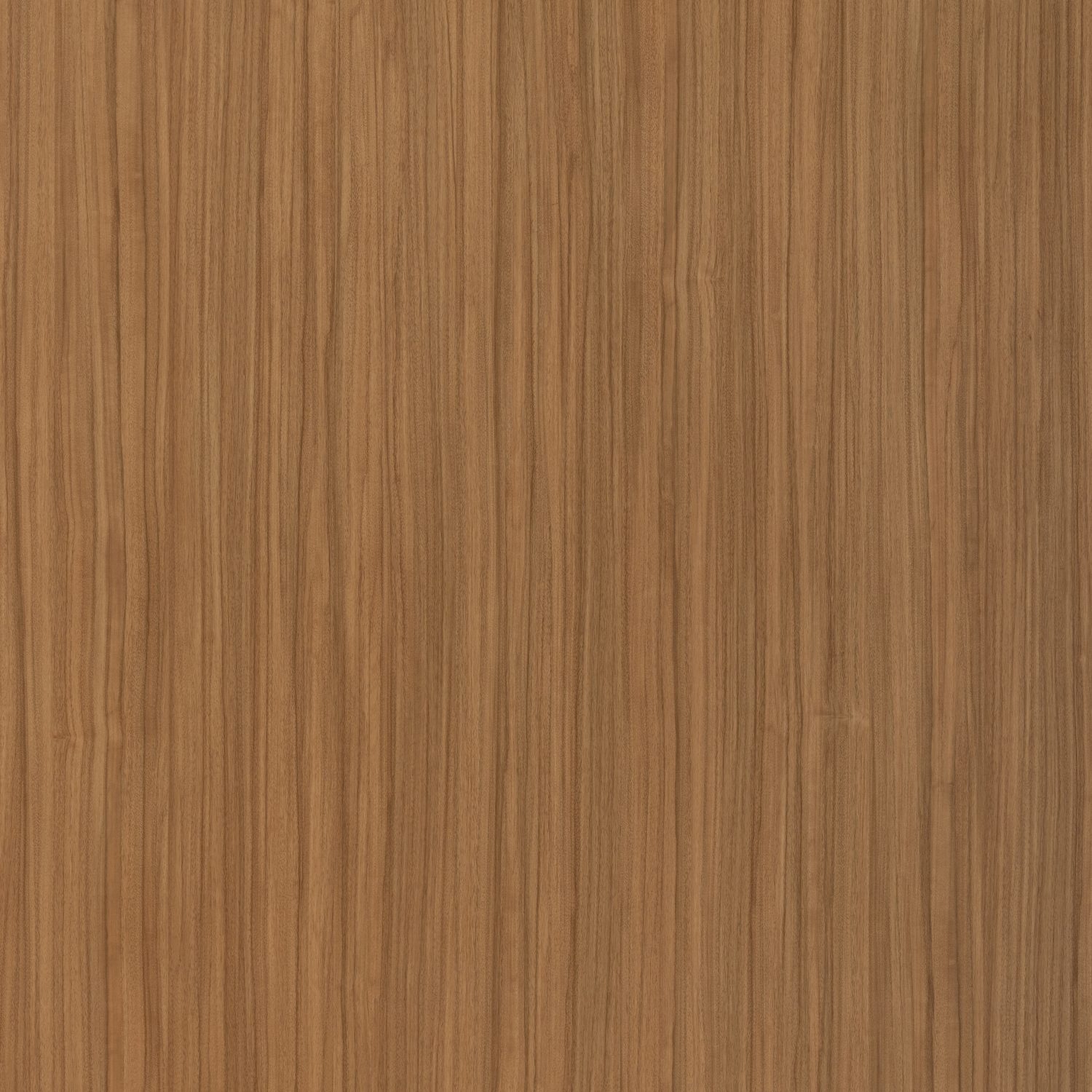 TRW10902F – Pure Legno Oak – Treo Merino | Shimlen