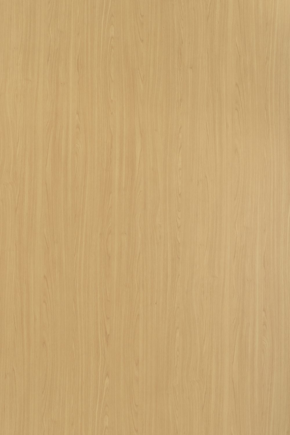 TRW30802F – Totila Maple – Treo Merino | Shimlen